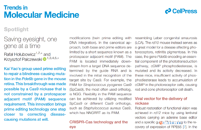 姚凯教授团队研究成果获选为Journal of Experimental Medicine封面论文并受到国际权威专家广泛赞誉-生命科学与健康学院